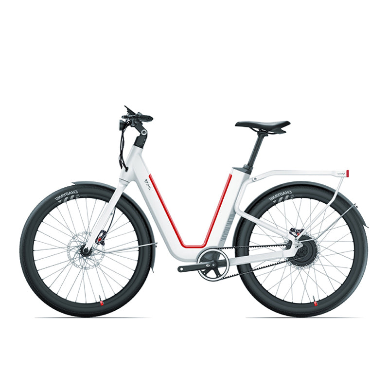 NIU BQi-C3 Pro Electric Bike for Commuters. Ships Free from Canada ...